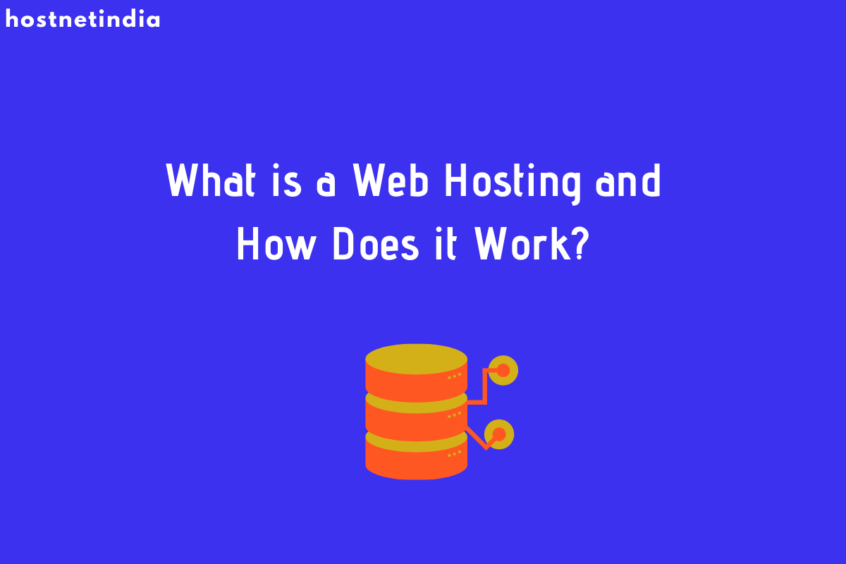 What is a Web Hosting and How Does it Work? – Official Hostnetindia Blog